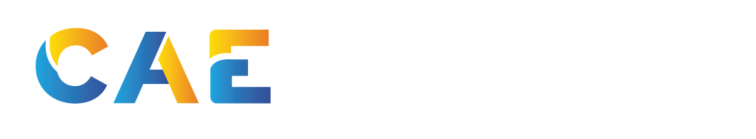 CAE · Aula Virtual